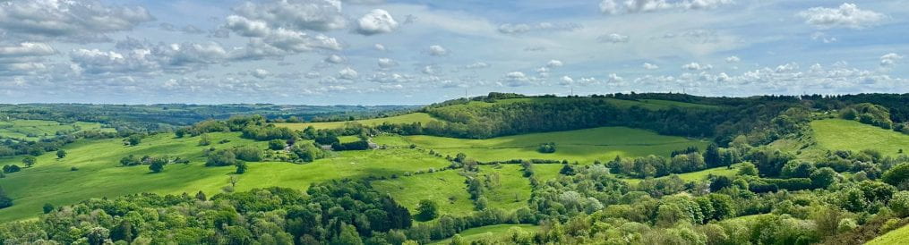 Writing summaries | Choose Your Theme